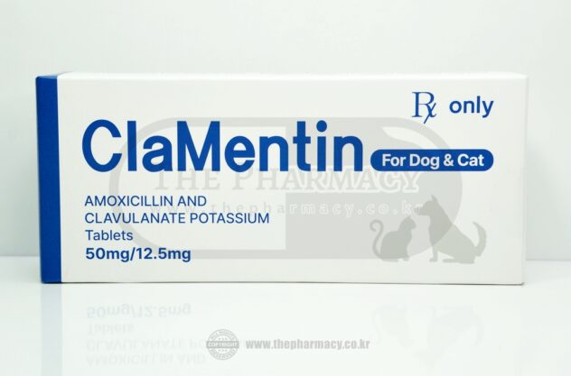 클라멘틴 - 더파머시